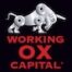Home - Working Ox Capital